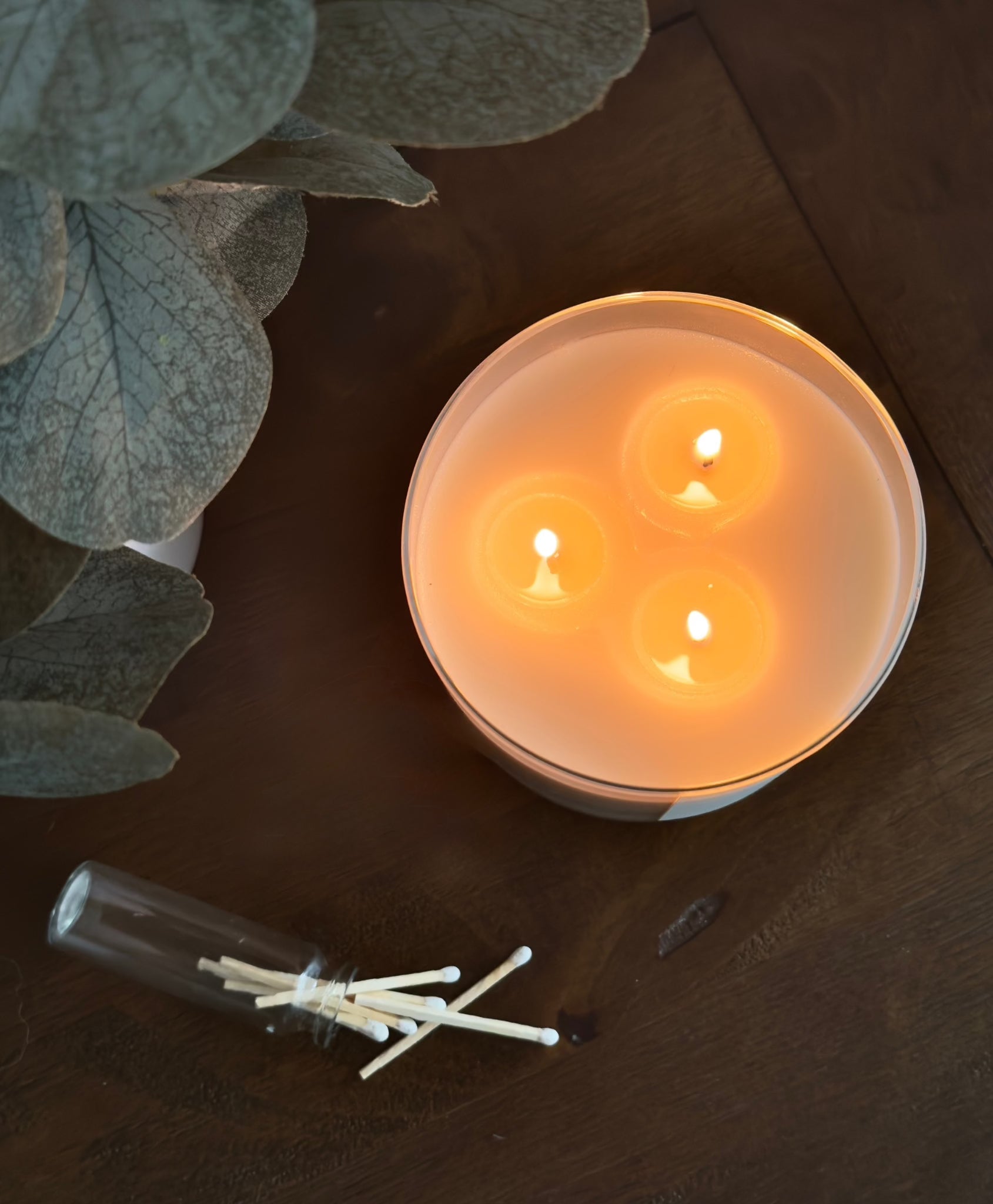 Rooted In Christ Collection – Modern Roots Candle Company